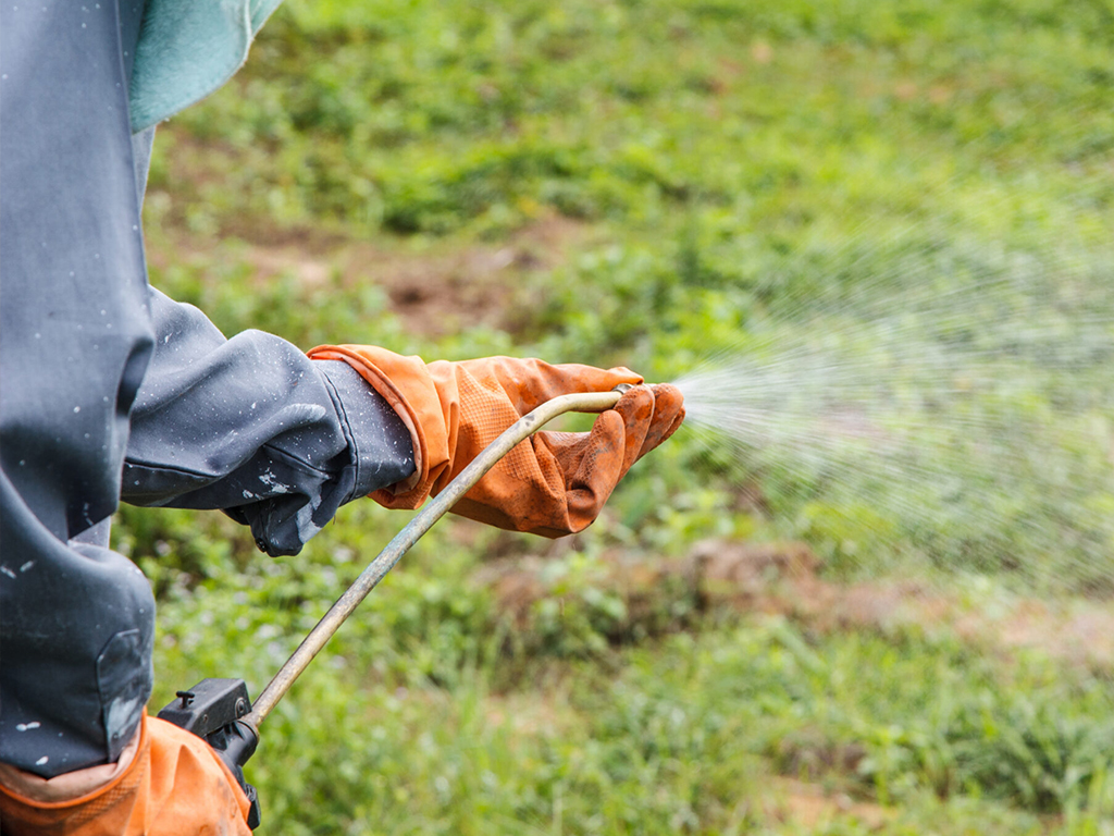 Tree Poisoning: How to Avoid the Unintentional Consequences of ...