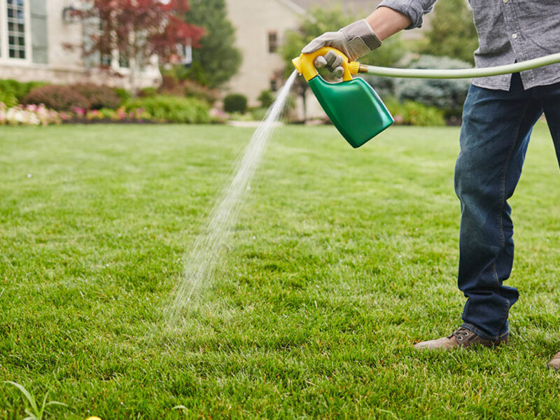 Poisoning - Heritage Tree Consultancy